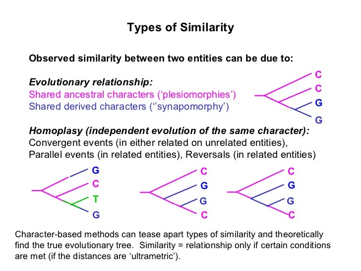 Phylogenetic analysis