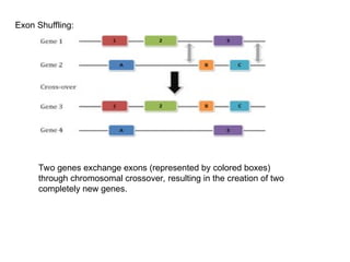 Phylogenetic analysis & their methods.ppt