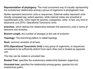 Phylogenetic analysis & their methods.ppt
