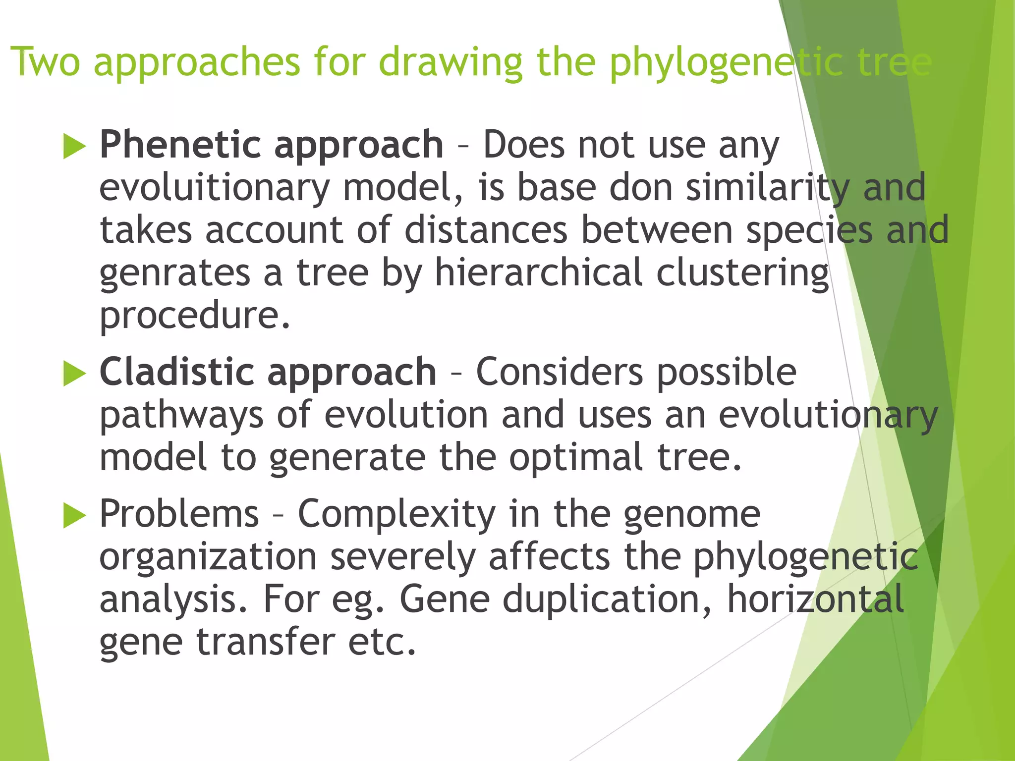 PHYLOGENETIC ANALYSIS_CSS2.pptx