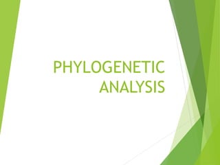 PHYLOGENETIC ANALYSIS_CSS2.pptx