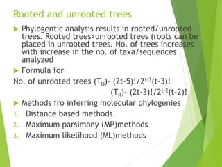 PHYLOGENETIC ANALYSIS_CSS2.pptx