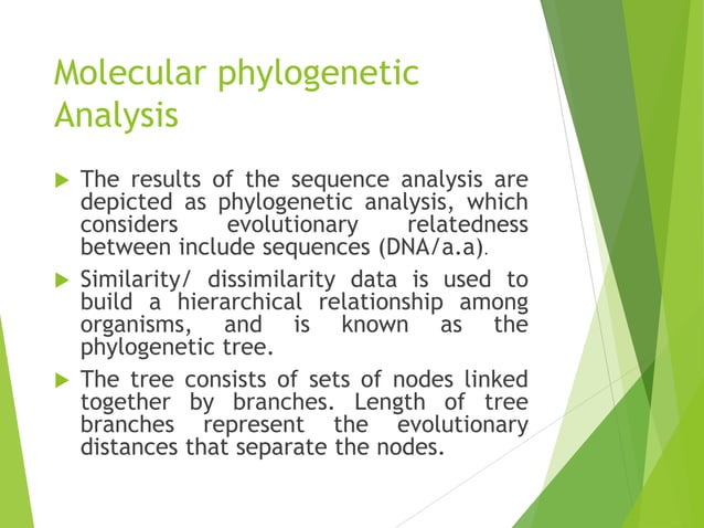 PHYLOGENETIC ANALYSIS_CSS2.pptx