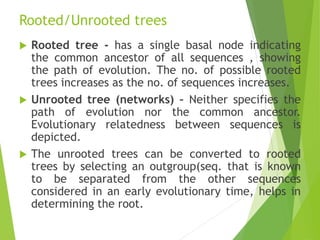 PHYLOGENETIC ANALYSIS_CSS2.pptx