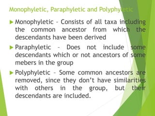 PHYLOGENETIC ANALYSIS_CSS2.pptx