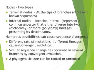 PHYLOGENETIC ANALYSIS_CSS2.pptx