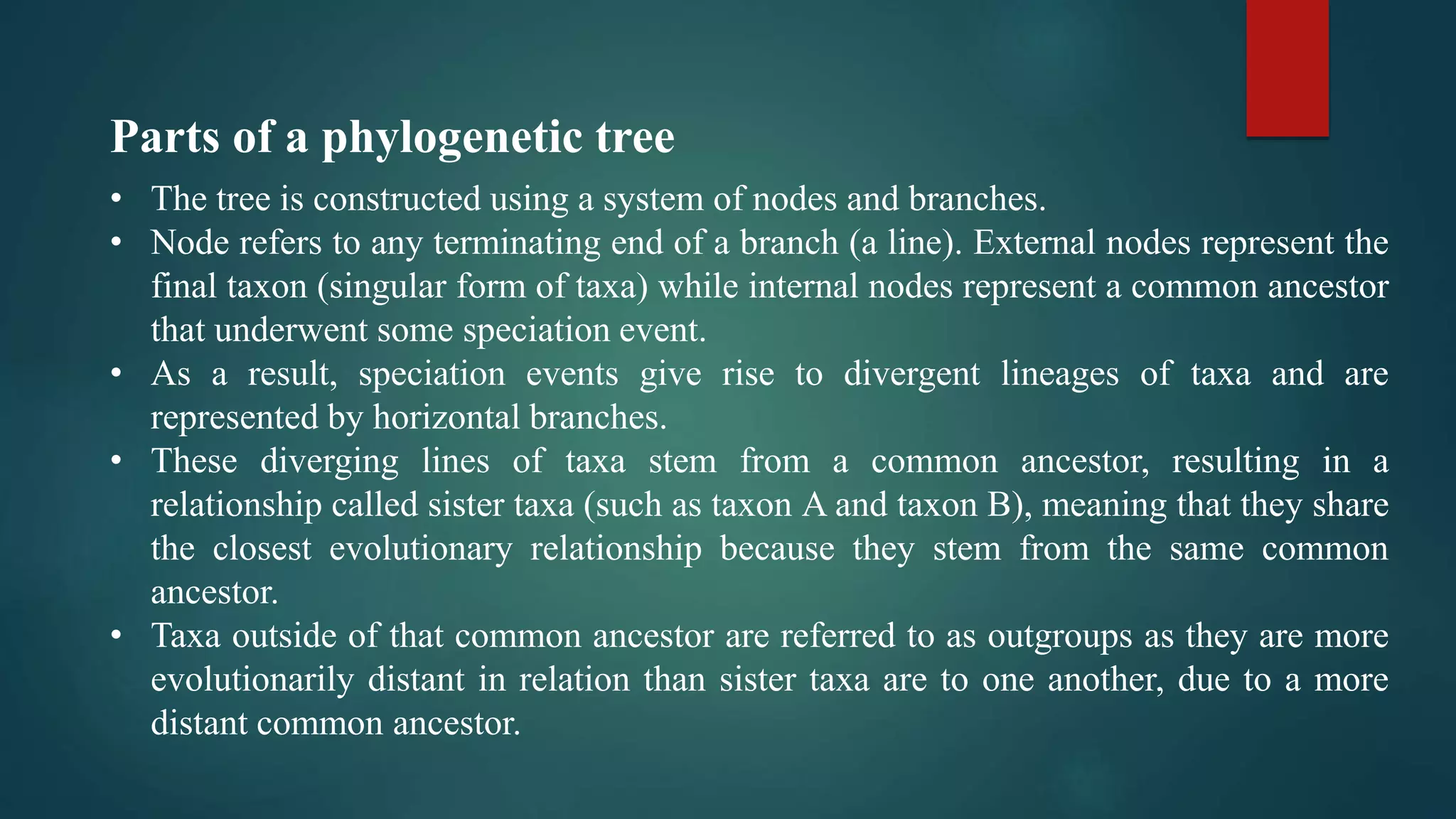 Phylogenetic data analysis | PPTX