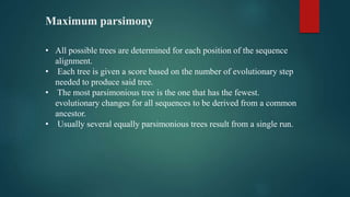 Phylogenetic data analysis | PPTX