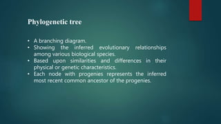 Phylogenetic data analysis | PPTX