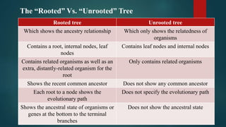 Phylogenetic data analysis | PPTX
