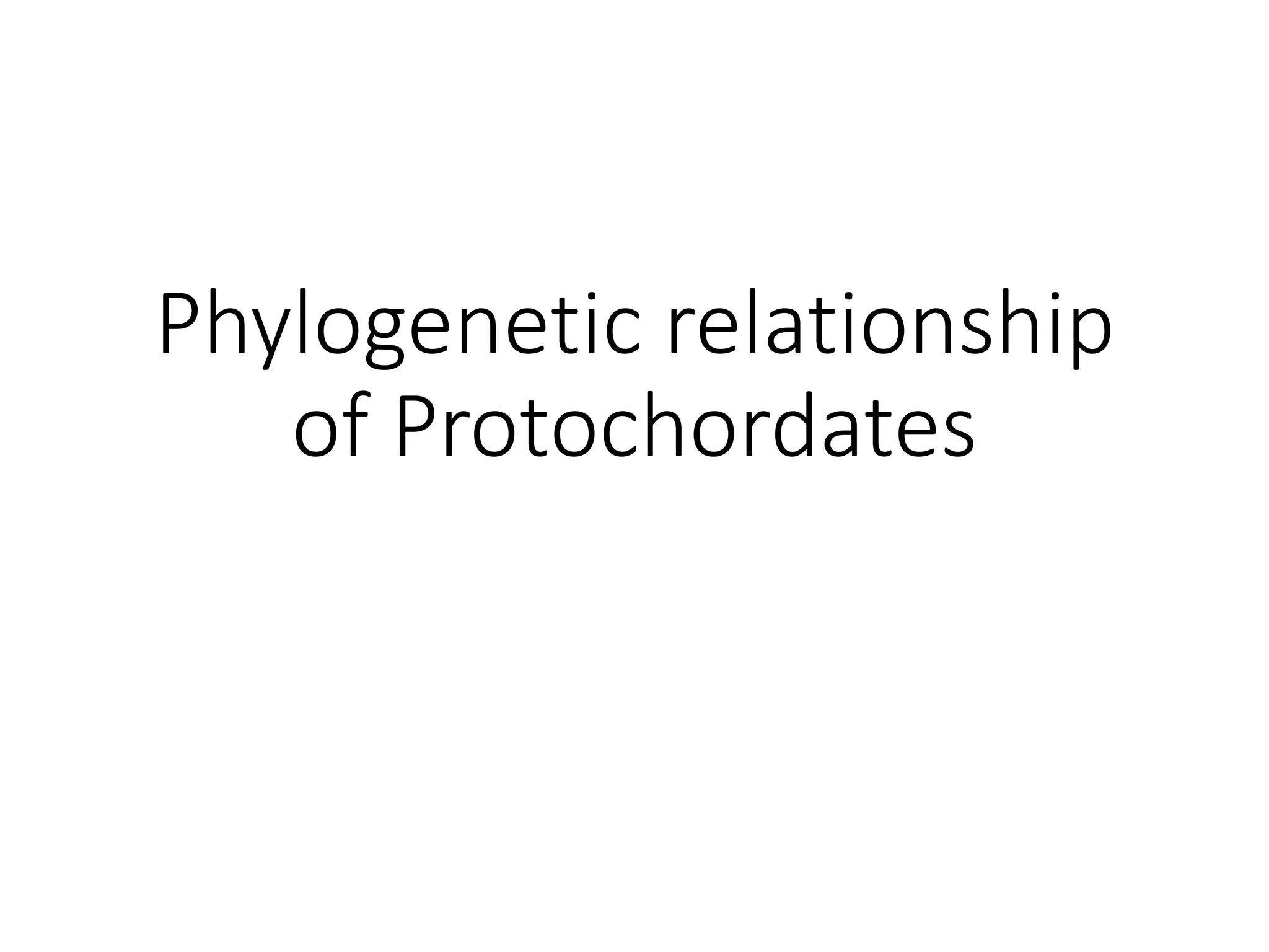 Phylogenetic relationship of protochordates | PPTX