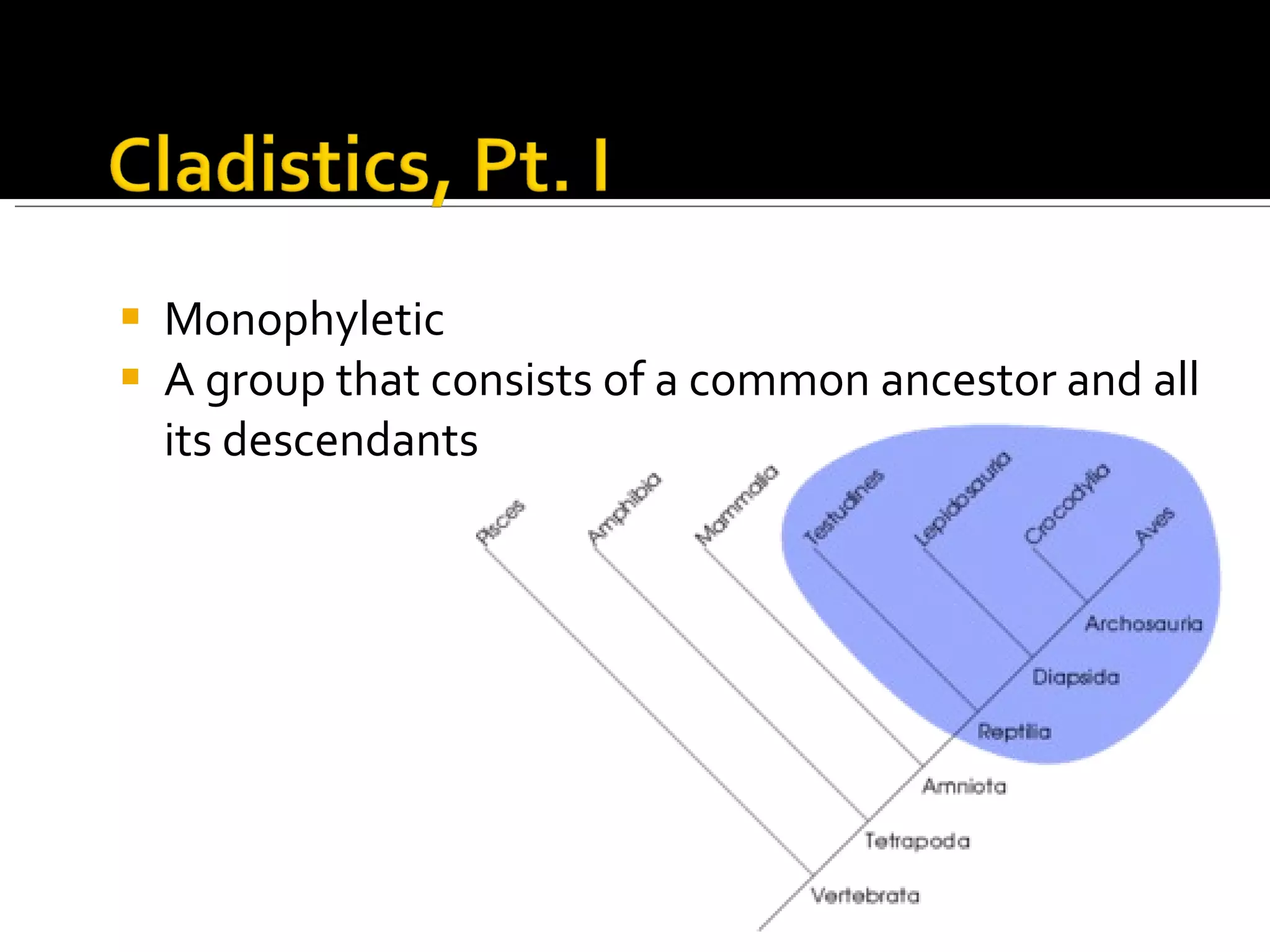 Phylogenetics | PPT