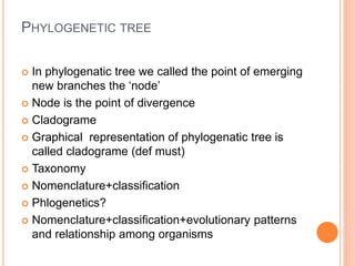 Phylogenetics | PPTX