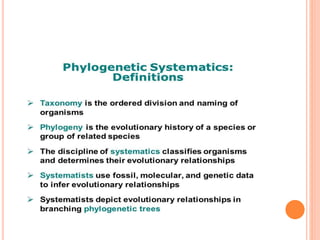Phylogenetics | PPTX