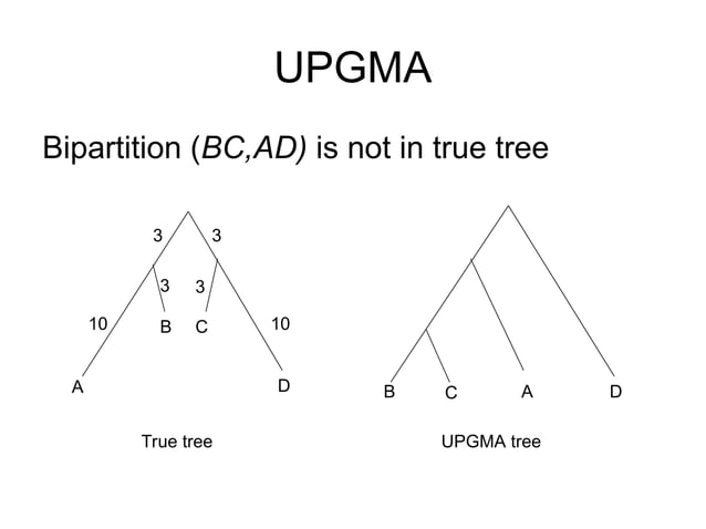 distance based phylogenetics-methodology | PPT