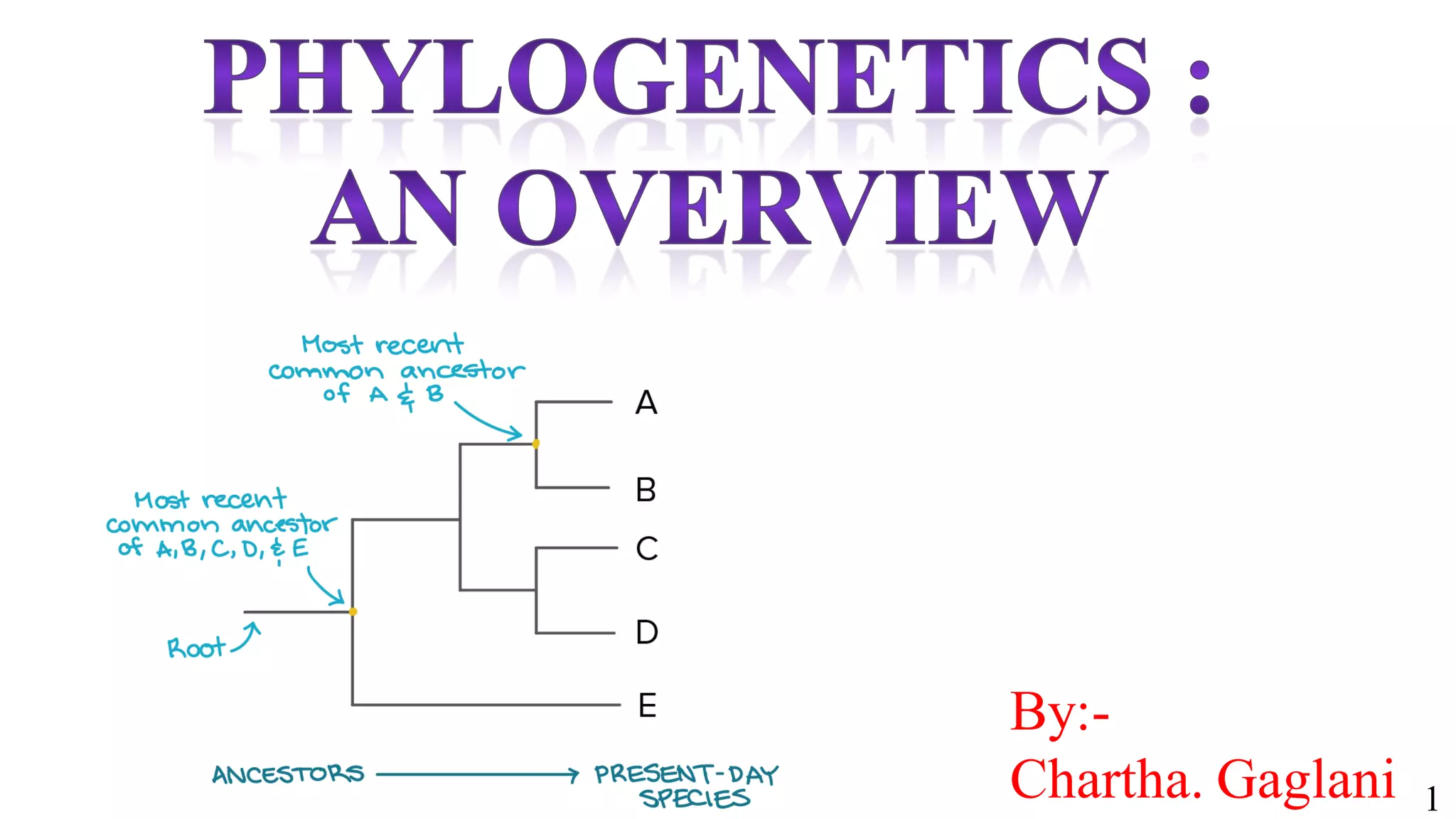 Phylogenetics an overview | PPT