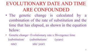 Phylogenetics an overview | PDF