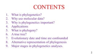 Phylogenetics an overview | PDF