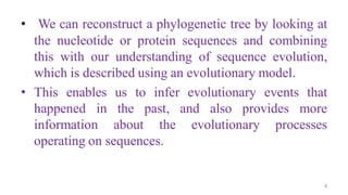 Phylogenetics an overview | PDF