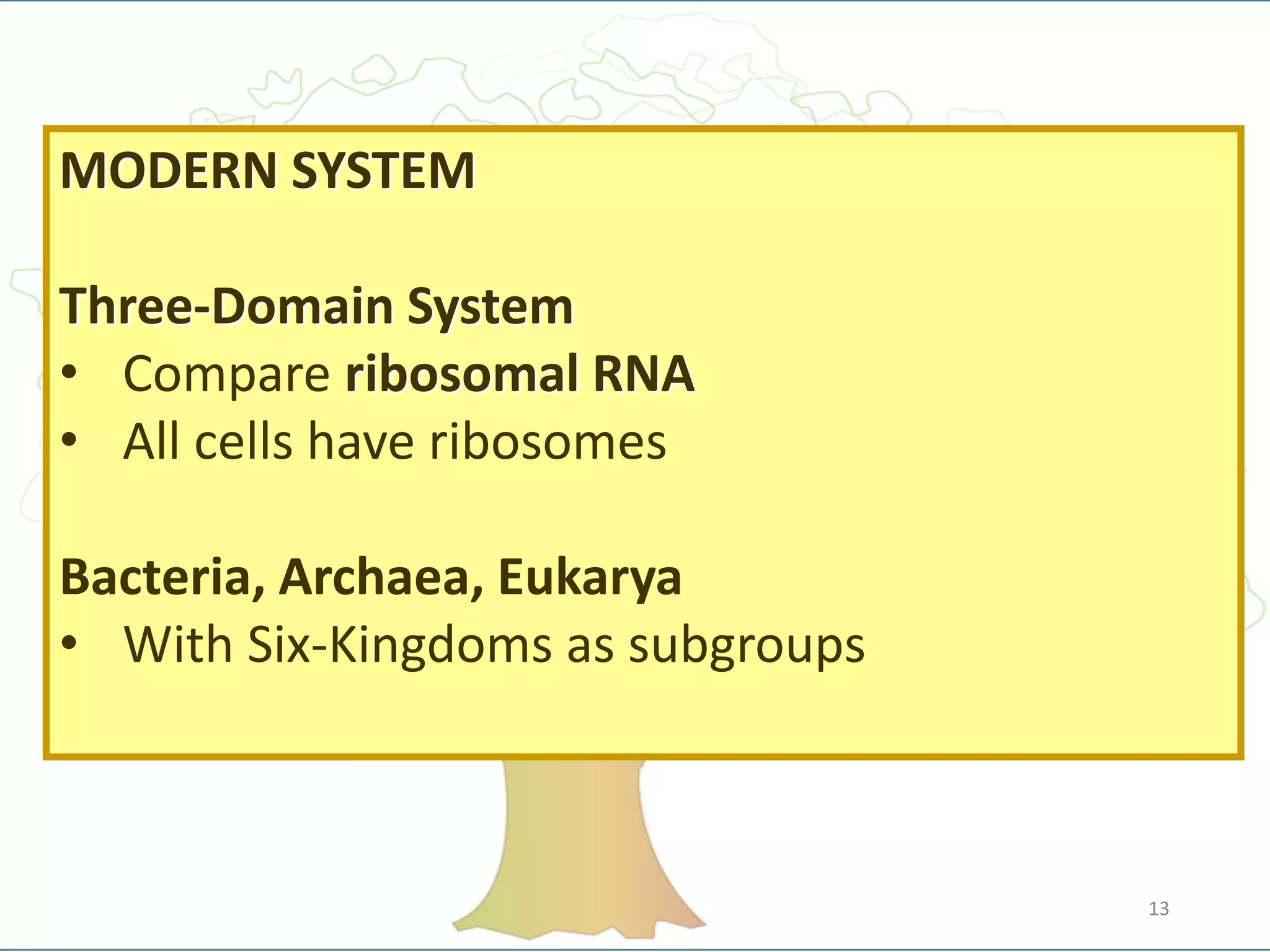 Phylogenetics: Classification Notes | PPTX