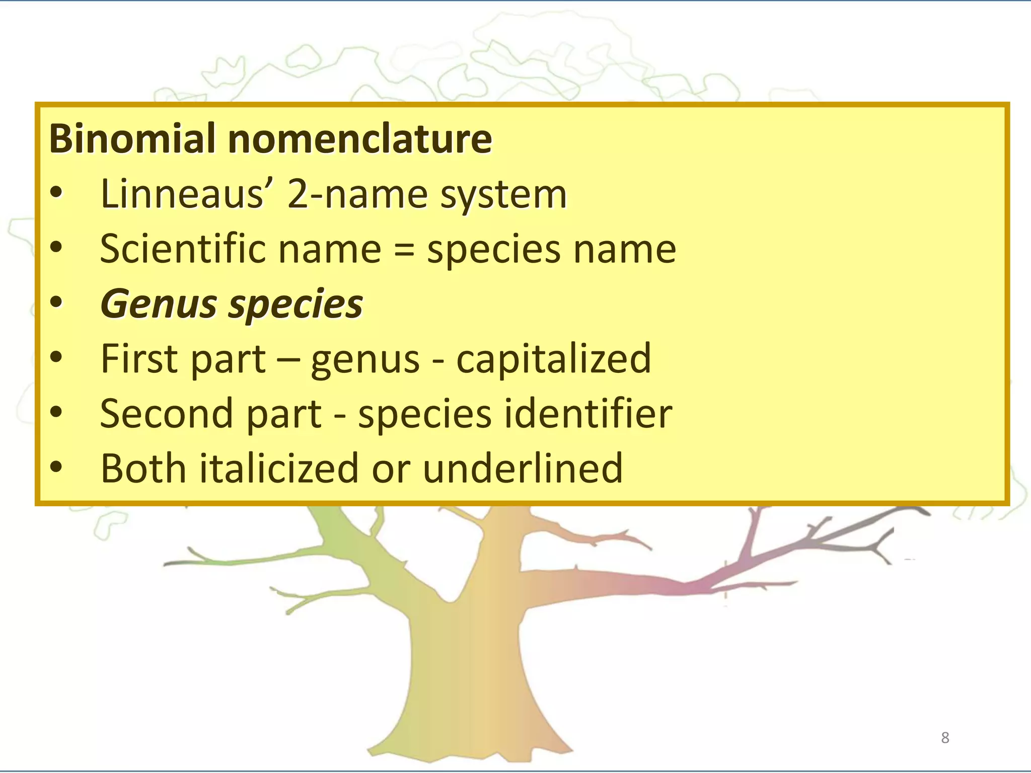 Phylogenetics: Classification Notes | PPTX