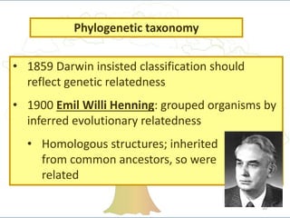 Phylogenetics: Classification Notes | PPTX