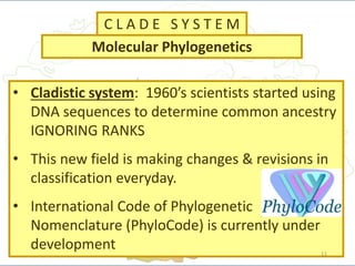 Phylogenetics: Classification Notes | PPTX