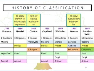 Phylogenetics: Classification Notes | PPTX