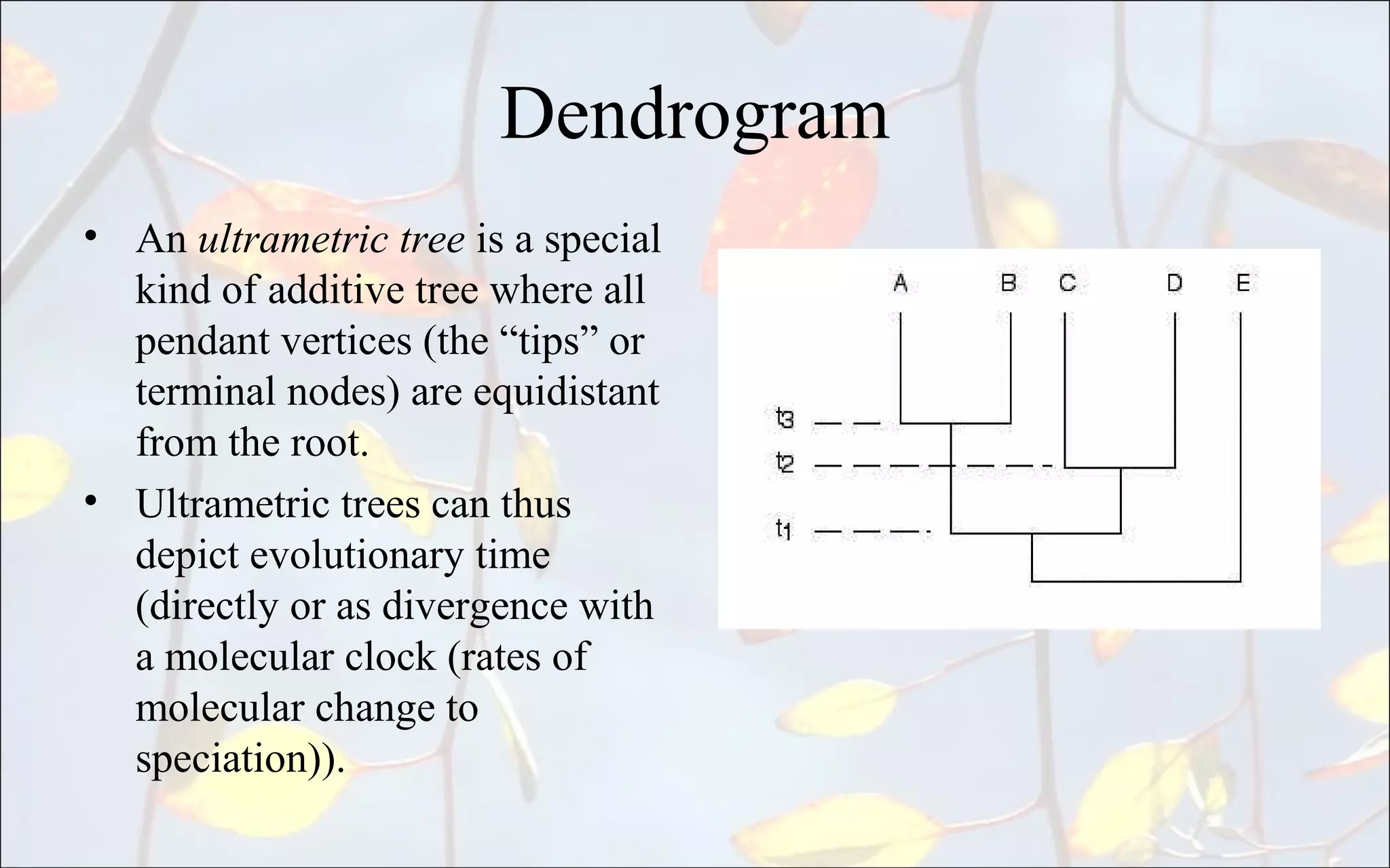 Phylogenetics | PPT