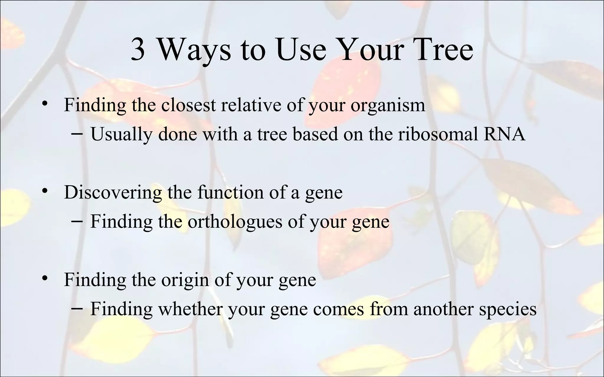 Phylogenetics | PPT
