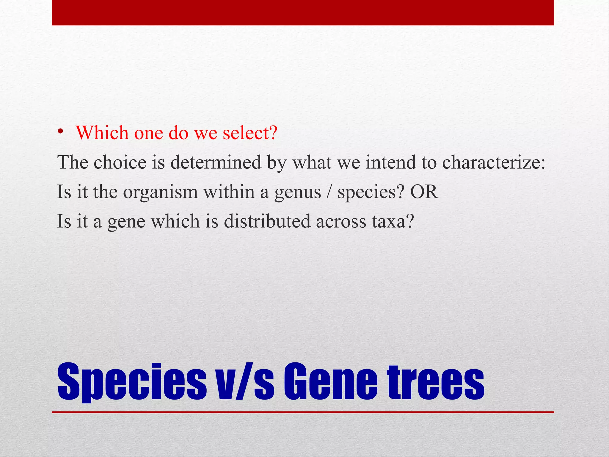 PHYLOGENETICS WITH MEGA | PPT