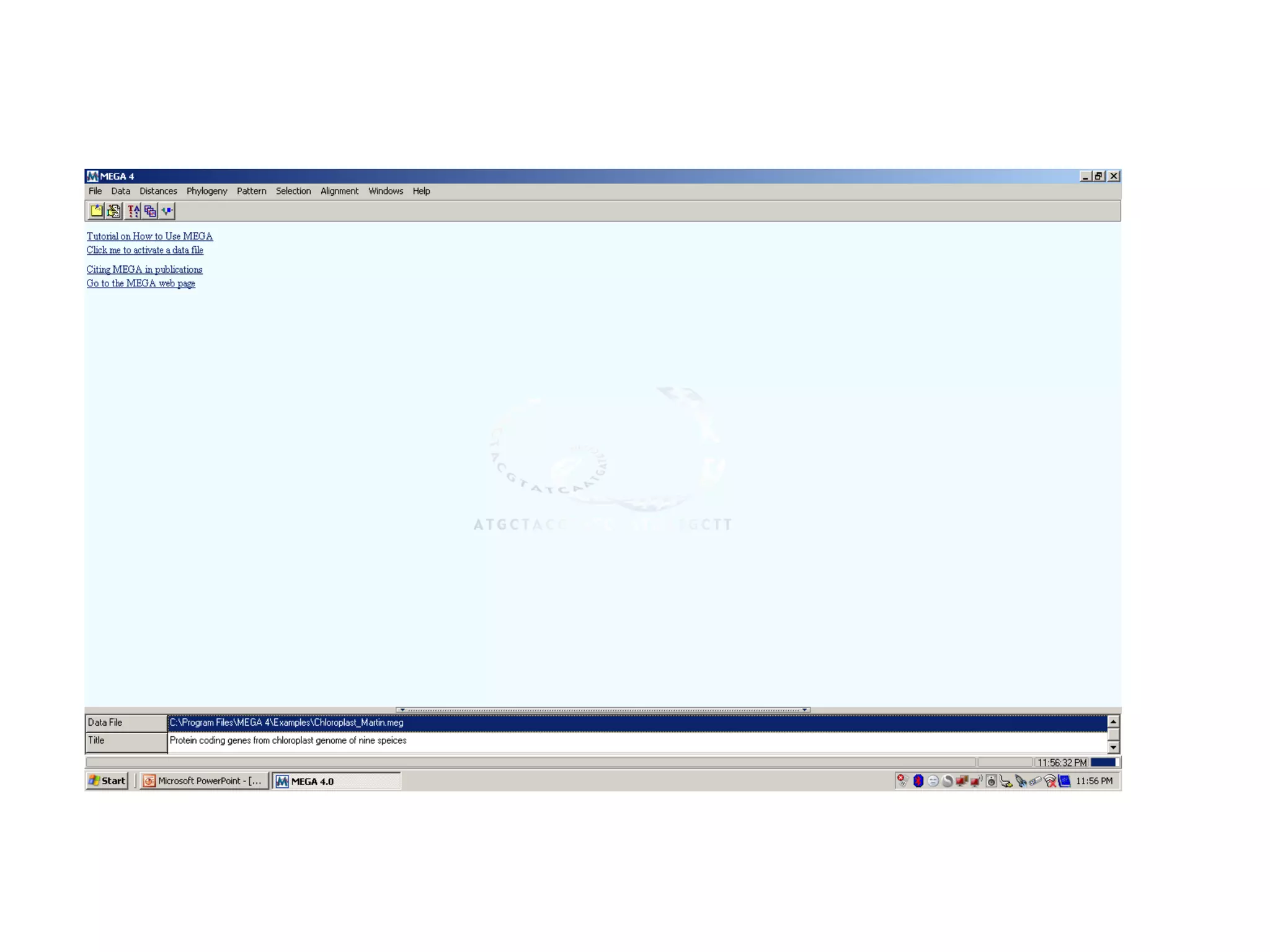 PHYLOGENETICS WITH MEGA | PPT