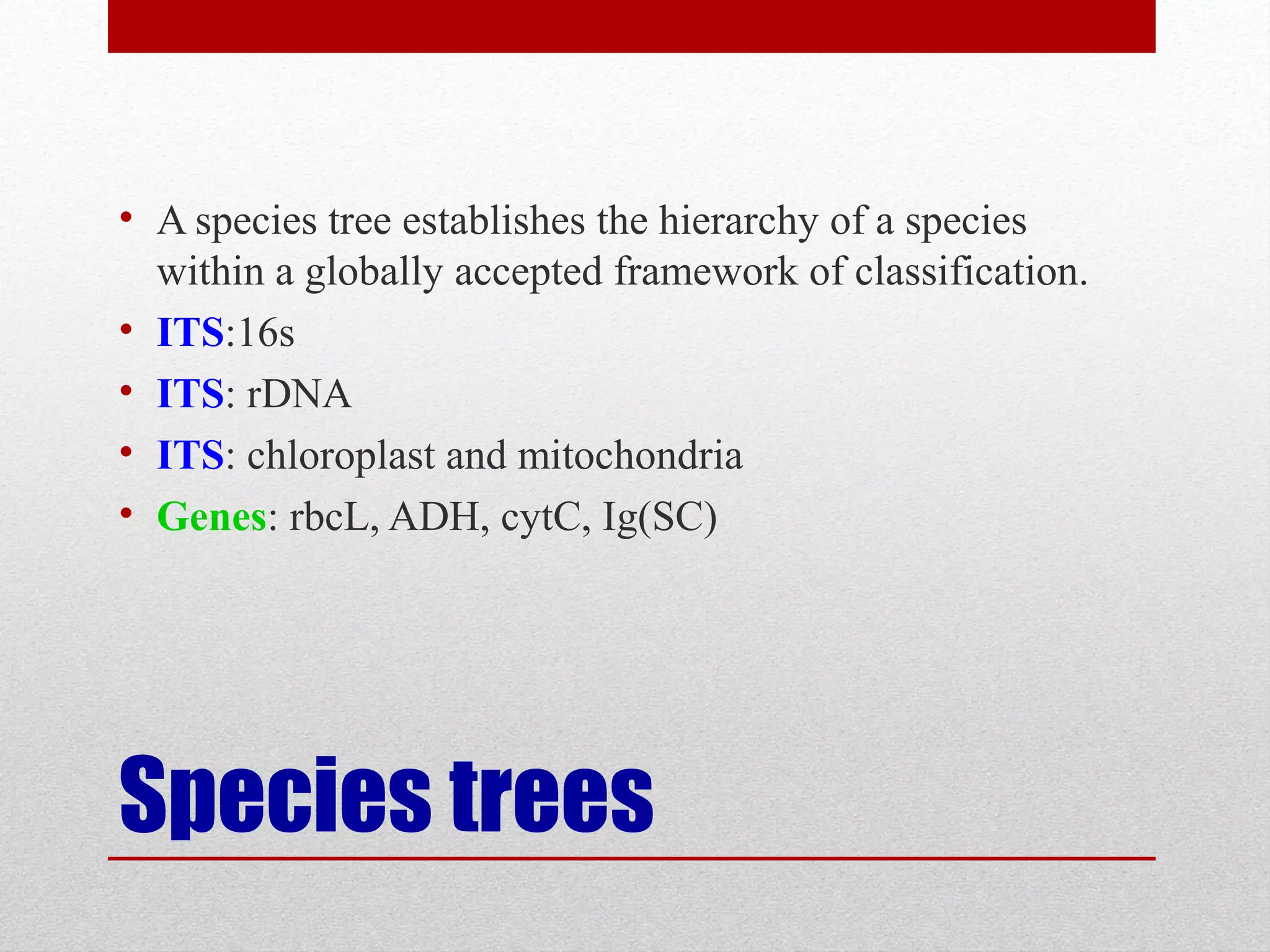 PHYLOGENETICS WITH MEGA | PPT