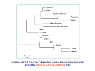 PHYLOGENETICS WITH MEGA | PPT