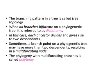 Phylogenetics Basics.pptx
