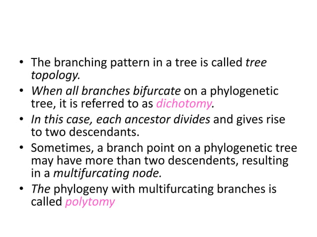 Phylogenetics Basics.pptx