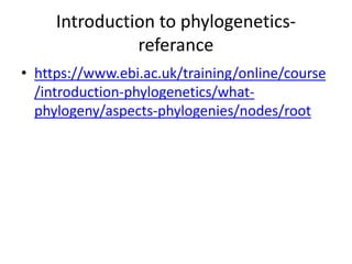 Phylogenetics Basics.pptx