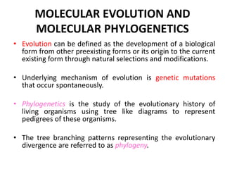 Phylogenetics Basics.pptx