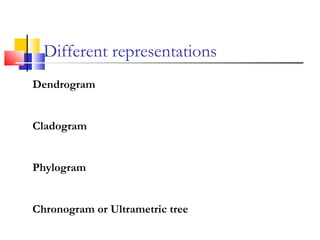 Phylogenetic studies | PPT