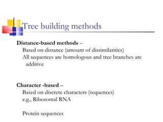 Phylogenetic studies | PPT