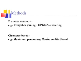 Phylogenetic studies | PPT