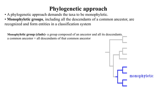 phylogenetic systematics.pptx......................... | PPTX