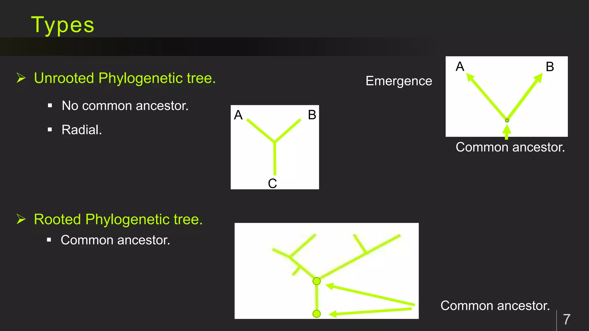 Phylogenetic tree-(Rooted & Unrooted) | PPTX