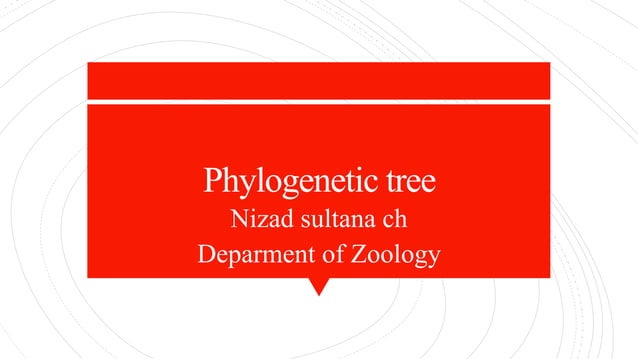 Phylogenetic tree and it's types | PPTX | Genealogy and Ancestry ...
