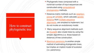 Phylogenetic tree and it's types | PPTX