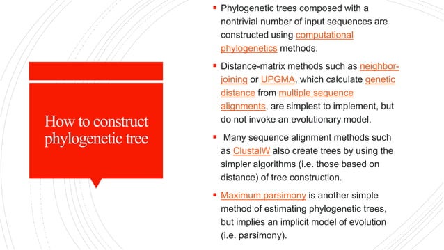 Phylogenetic tree and it's types | PPTX | Genealogy and Ancestry ...