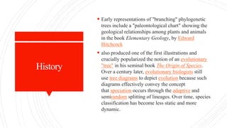 Phylogenetic tree and it's types | PPTX