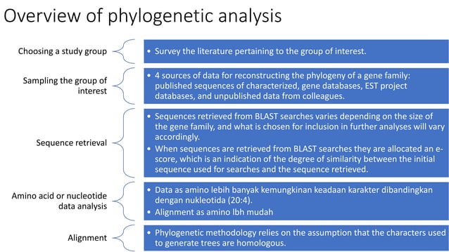 phylogenetic tree.pptx