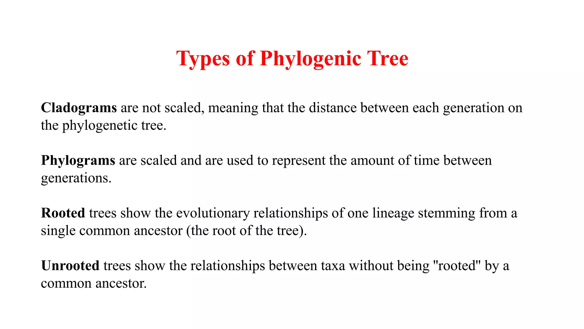 phylogenetic tree.pptx