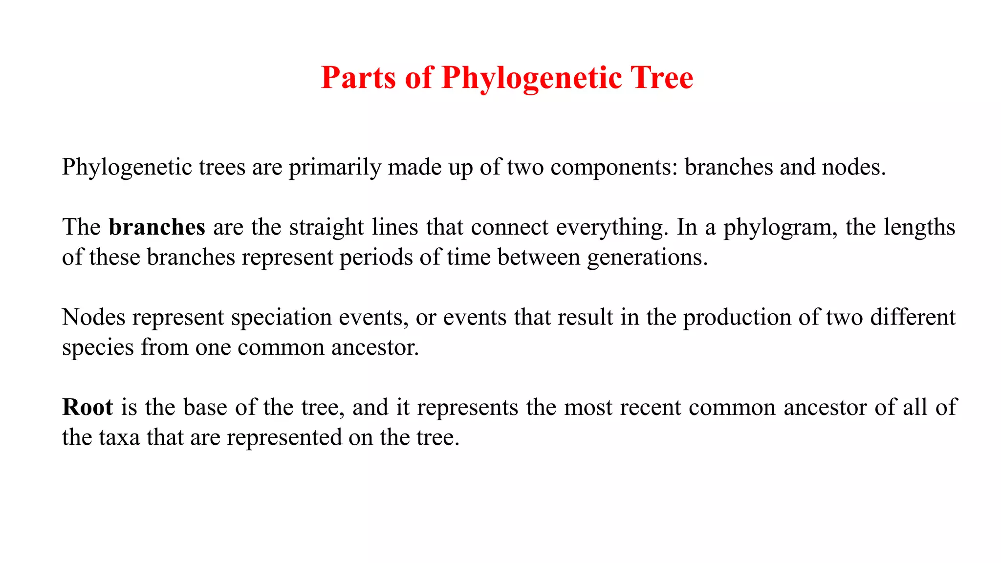phylogenetic tree.pptx